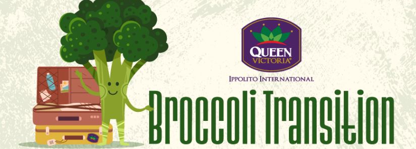 News - Ippolito International