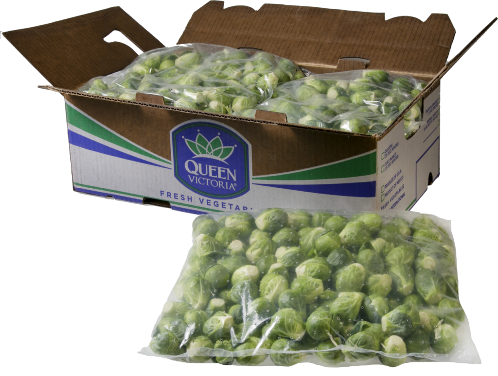 Brussels Sprouts - Ippolito International