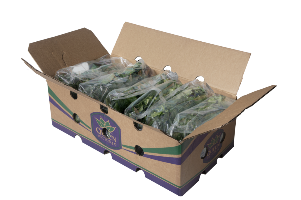 Chopped Greens - Ippolito International